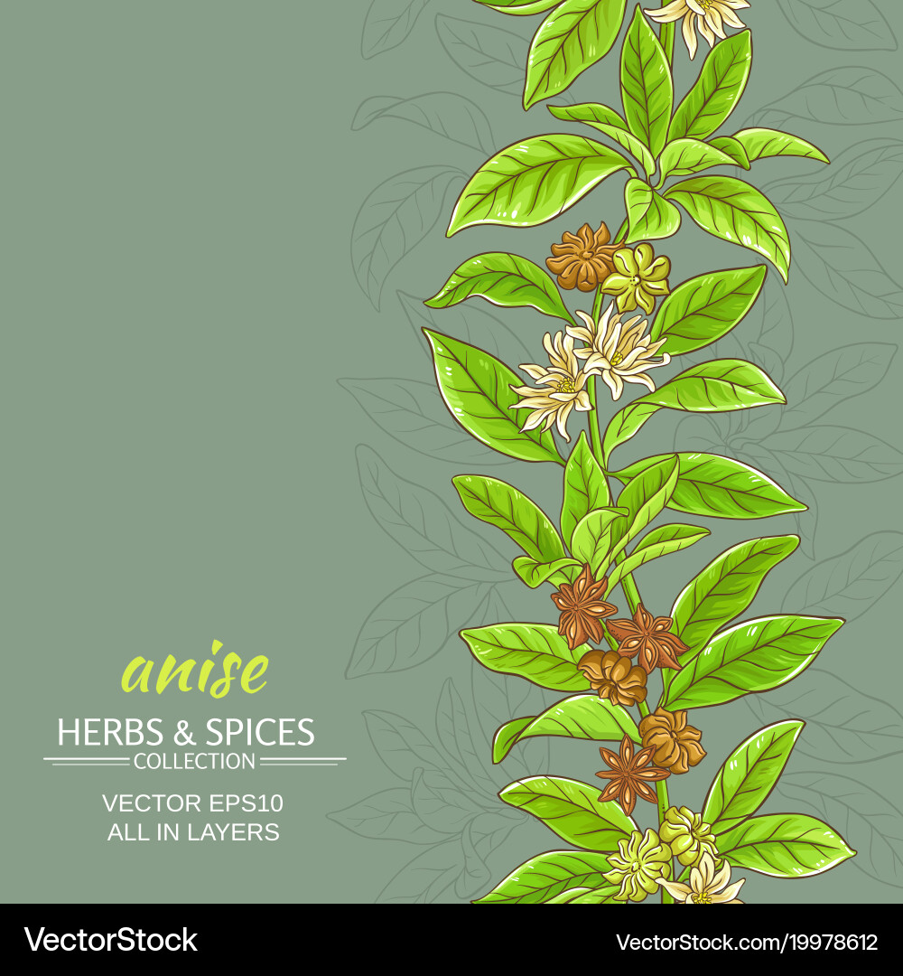 Anise background Royalty Free Vector Image - VectorStock