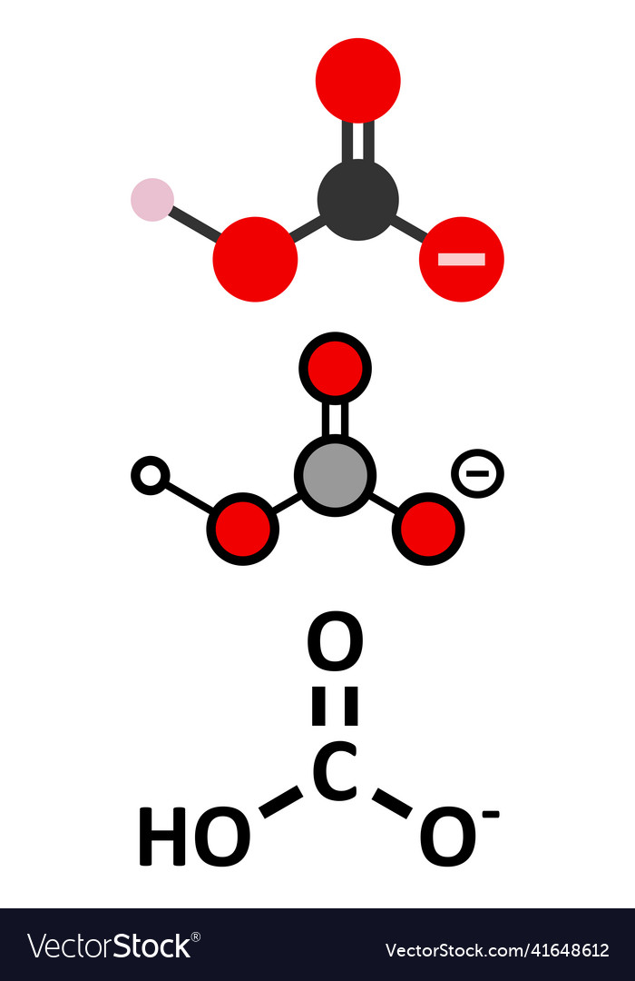 Bicarbonate anion chemical structure common salts Vector Image Bicarbonate anion chemical structure common salts Vector Image