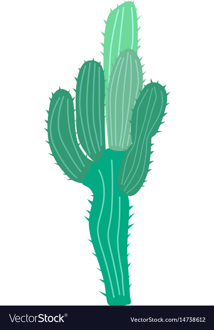 Cactus Royalty Free Vector Image - VectorStock