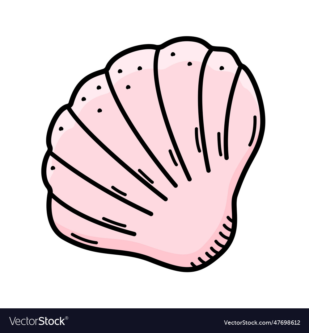 Seashell single isolate on a white background Vector Image