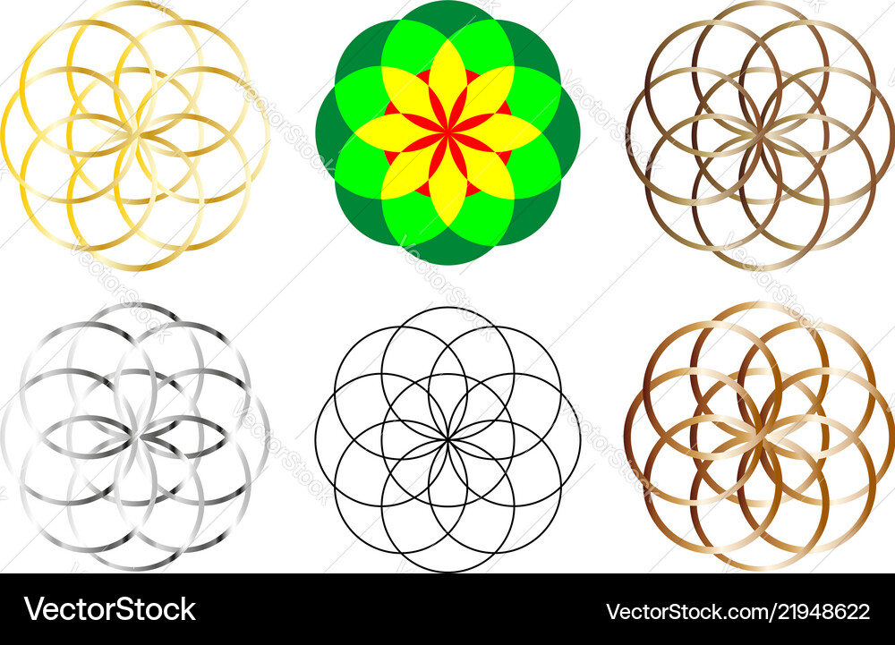Flower of life Royalty Free Vector Image - VectorStock