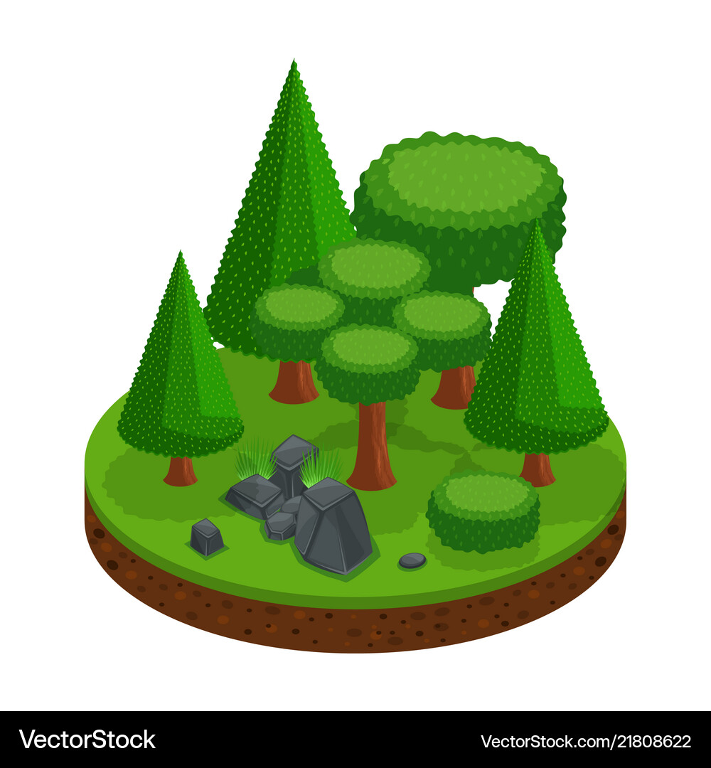 Isometry of a forest range trees and conifers Vector Image