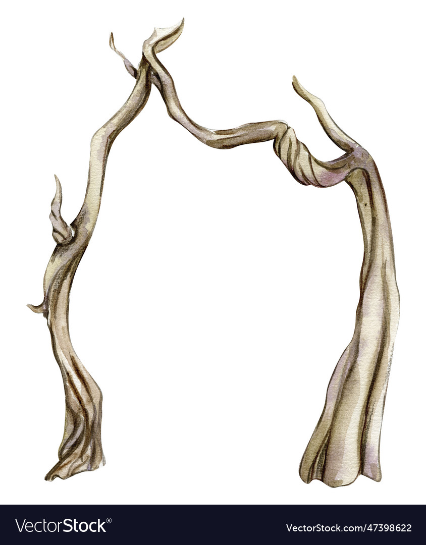 Woven branch arch for fairy watercolor hand drawn Vector Image Woven branch arch for fairy watercolor hand drawn Vector Image