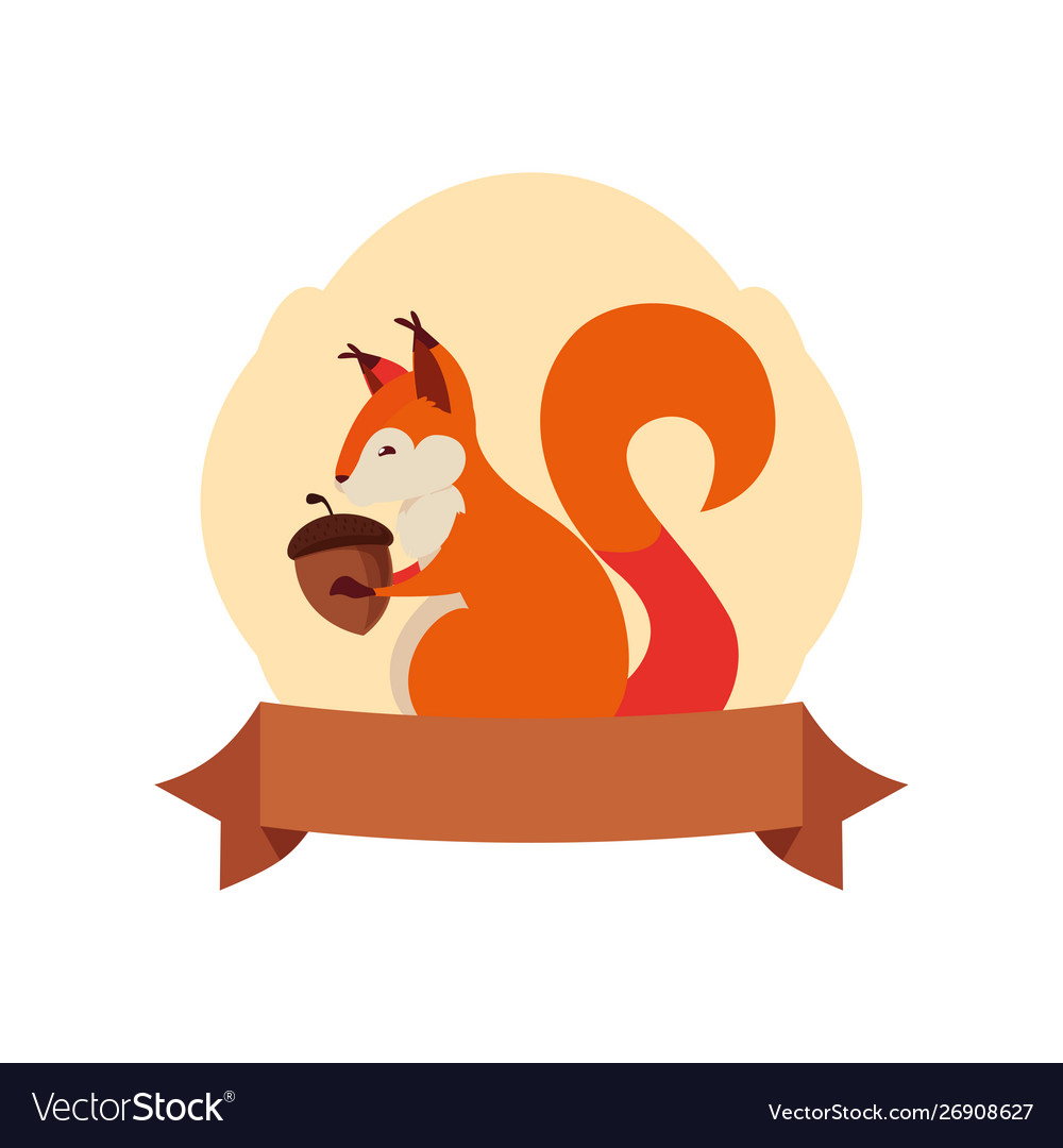 Squirrel acorn happy autumn season flat design Vector Image