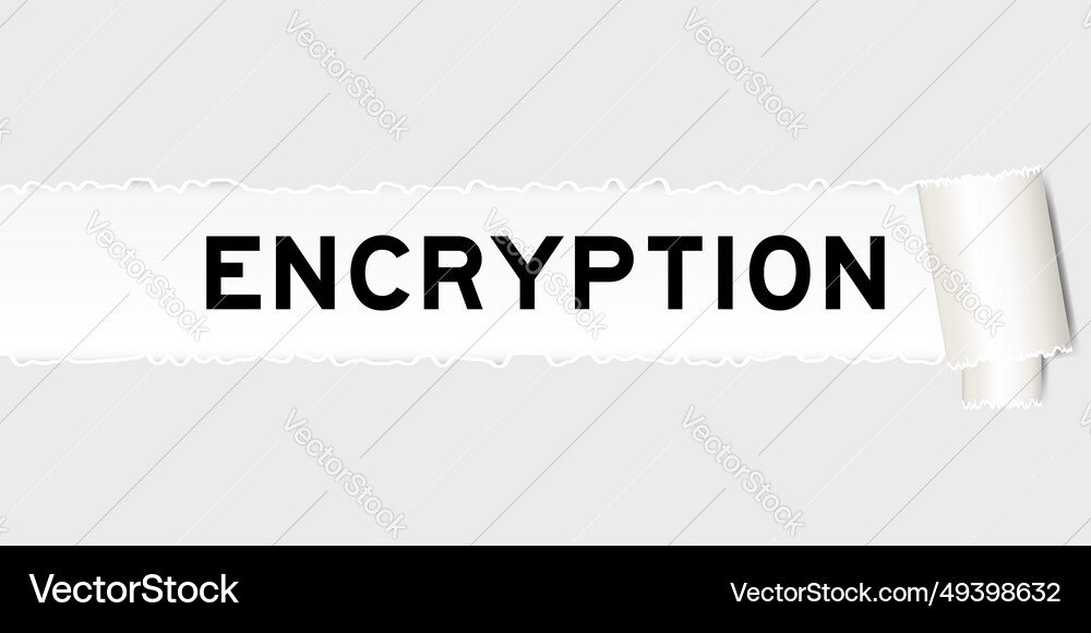 Ripped gray paper background that have word Vector Image