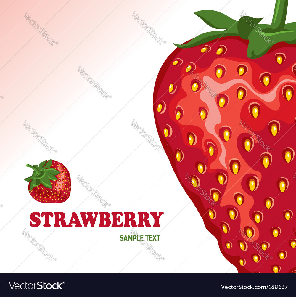 Strawberry background Royalty Free Vector Image
