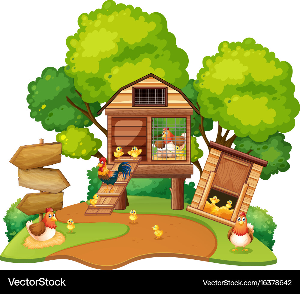 Chickens lives in chicken coops Royalty Free Vector Image