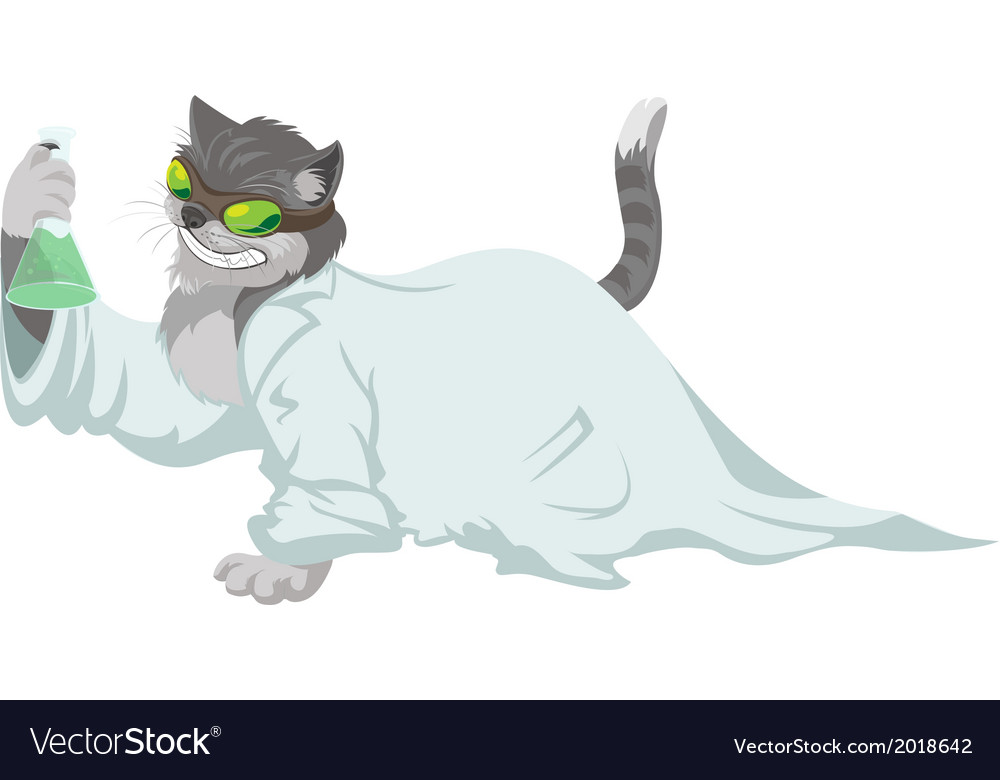 Scientist cat Royalty Free Vector Image - VectorStock