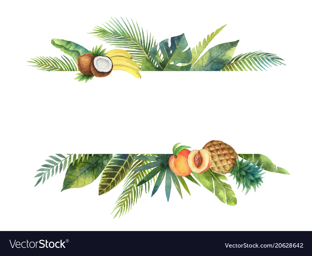 Watercolor banner tropical leaves and Royalty Free Vector