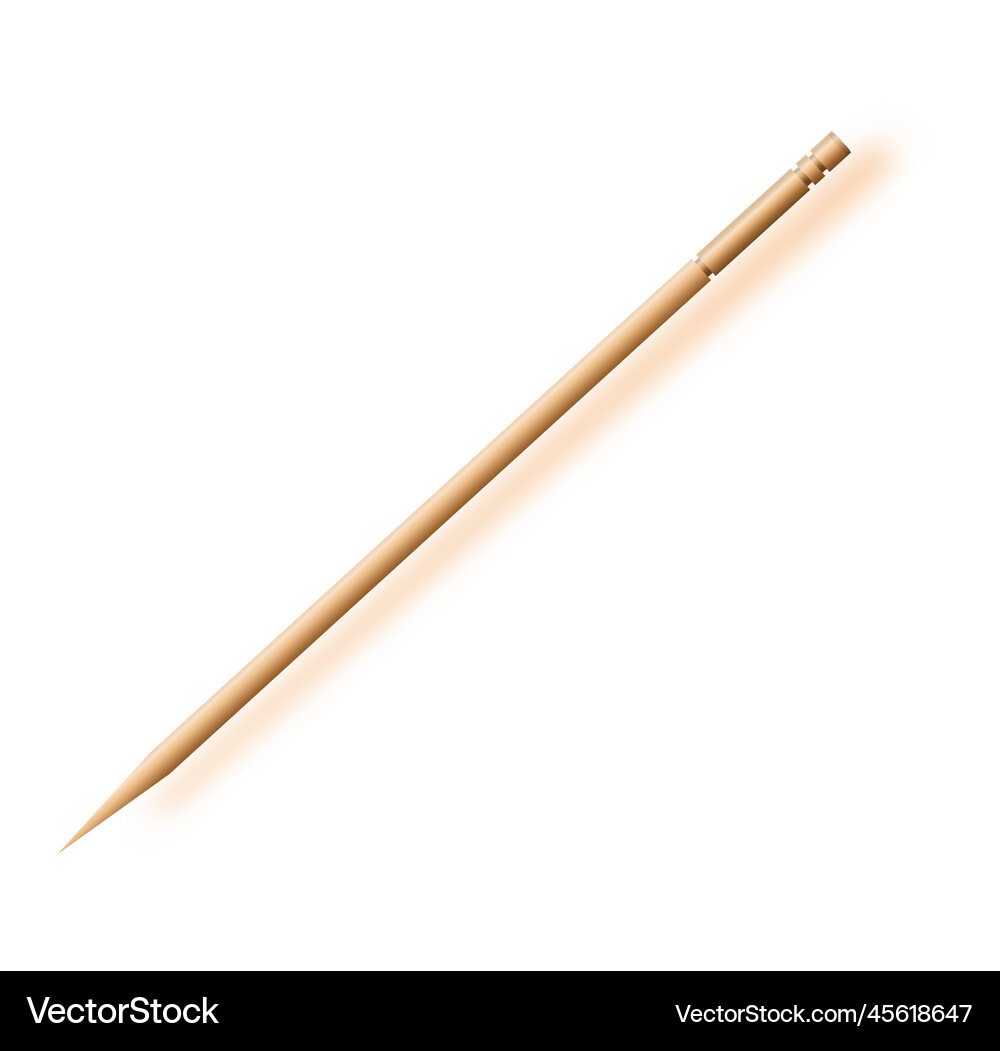 Wooden toothpick macro bamboo toothpick small Vector Image