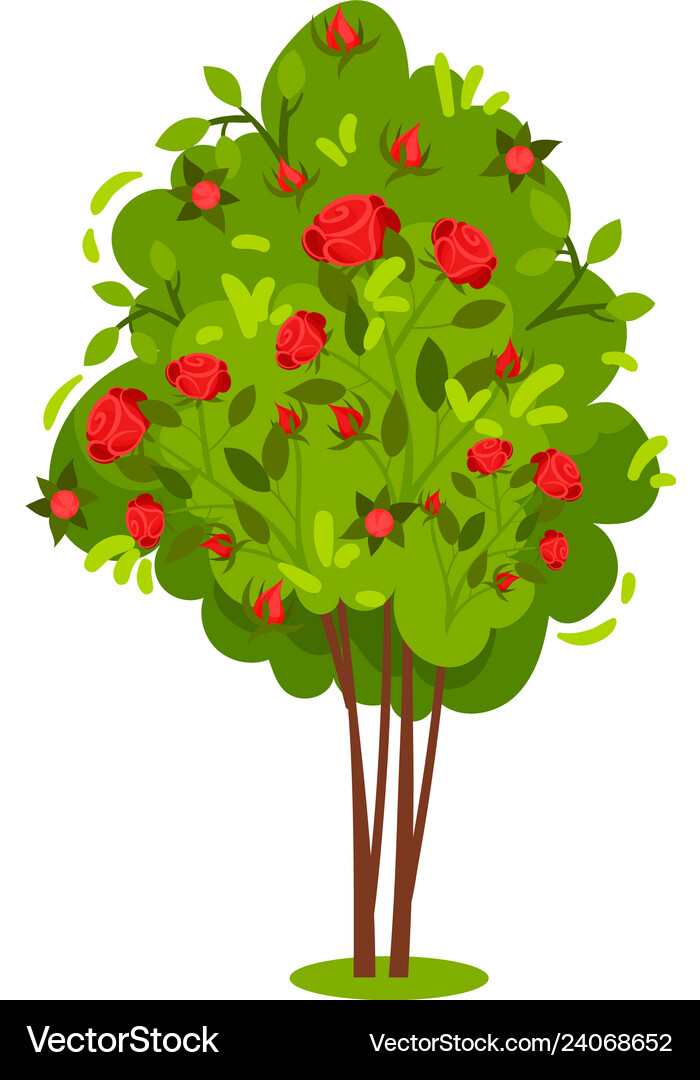 Green bush with bright red roses shrub Royalty Free Vector