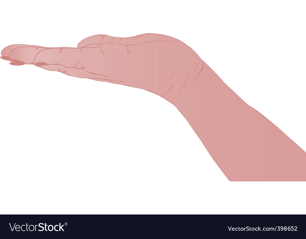 Human hand Royalty Free Vector Image - VectorStock