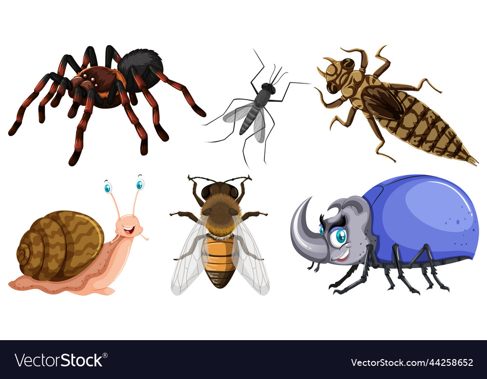 Set of different kinds of insects Royalty Free Vector Image Set of different kinds of insects Royalty Free Vector Image