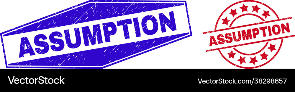 Assumption rubber badges in circle and hexagon Vector Image