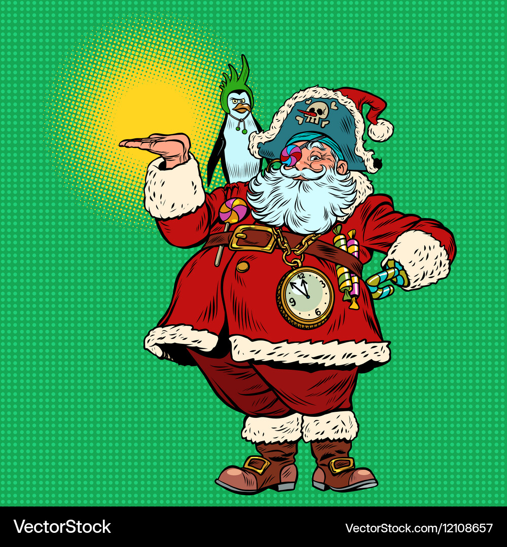 Santa claus pirate and penguin presentation Vector Image
