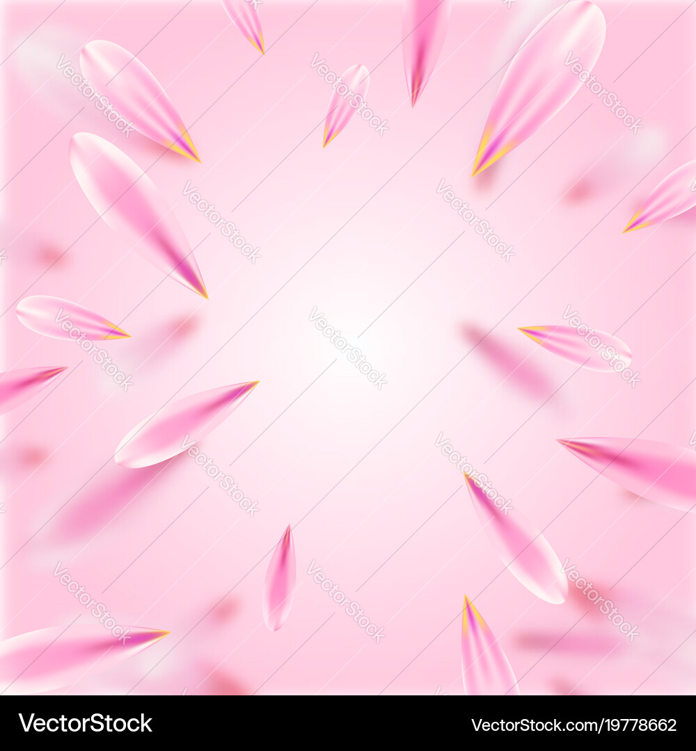 Flower design flowers petals abstract background Vector Image