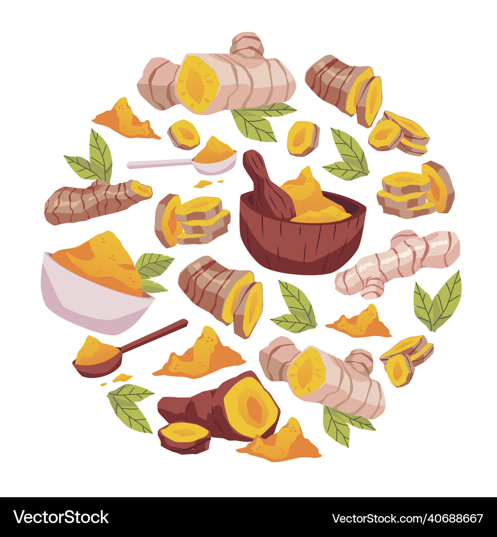 Turmeric whole and sliced fresh root realistic Vector Image