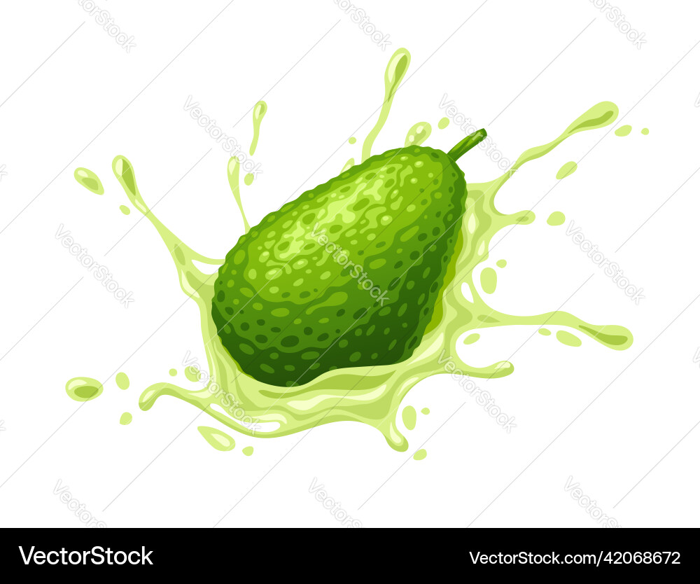 Green fruit avocado juicy splash ripe vegetable Vector Image