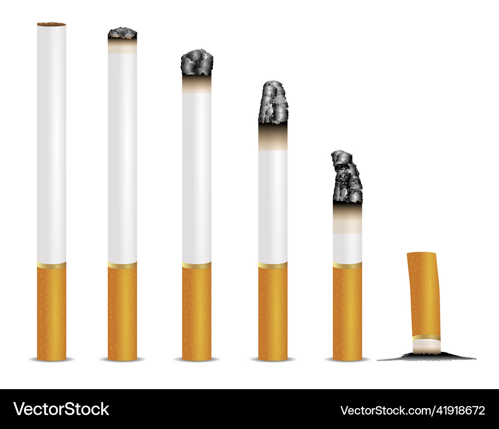 Smoldering Cigarettes Set Royalty Free Vector Image