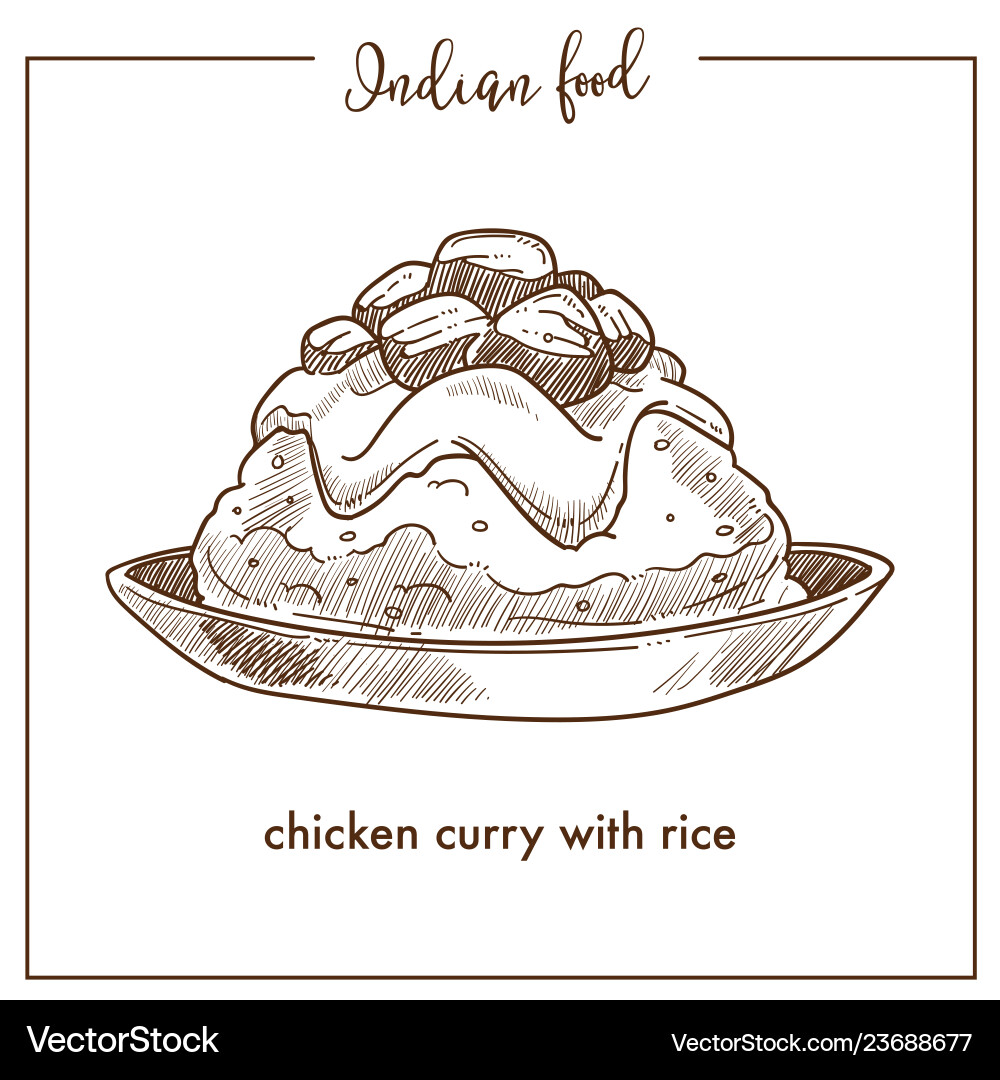 Chicken curry with rice on plate from traditional Vector Image