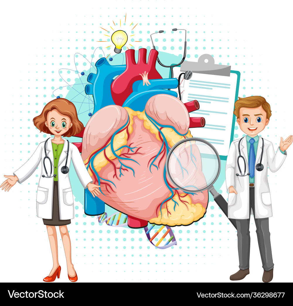 Doctor and human heart on white background Vector Image