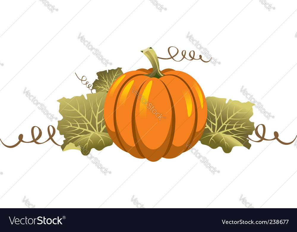 Pumpkin Royalty Free Vector Image - VectorStock
