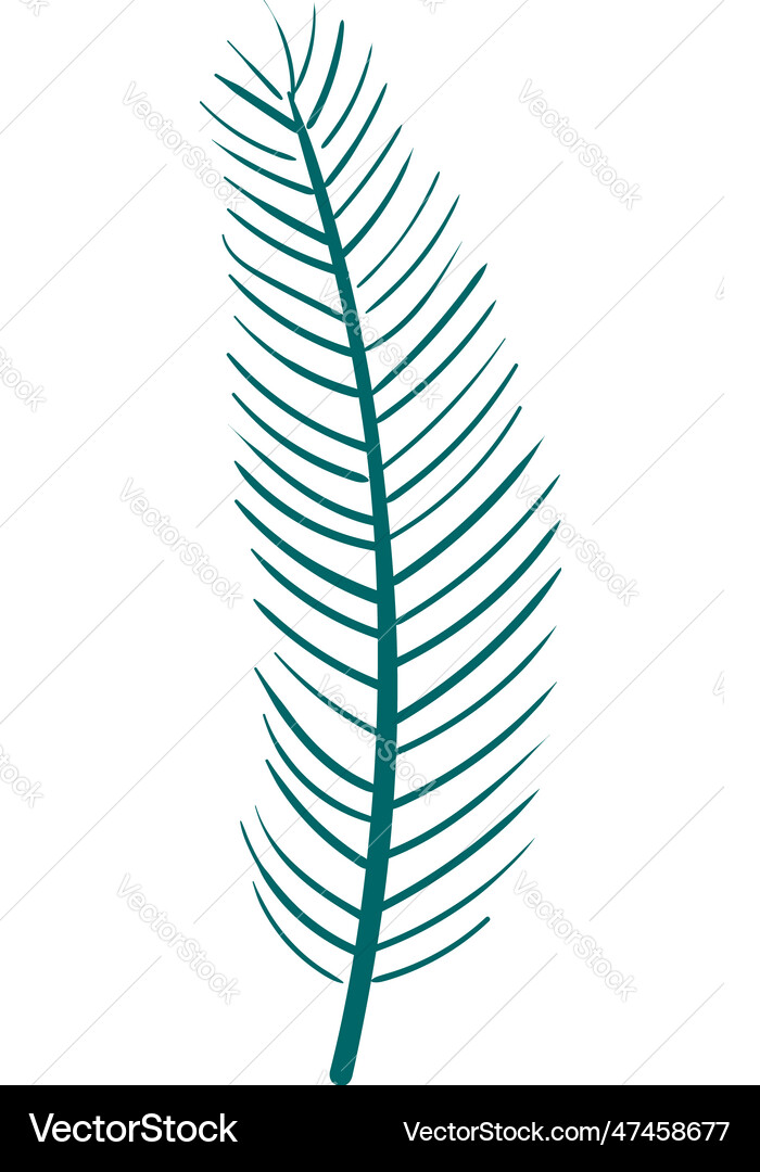 Tropical palm tree leaf fern frond Royalty Free Vector Image