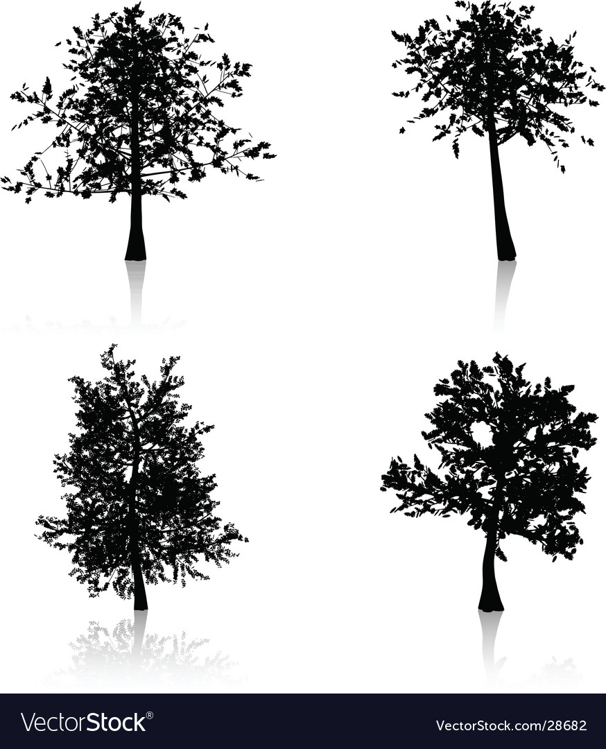 Autumn trees Royalty Free Vector Image - VectorStock