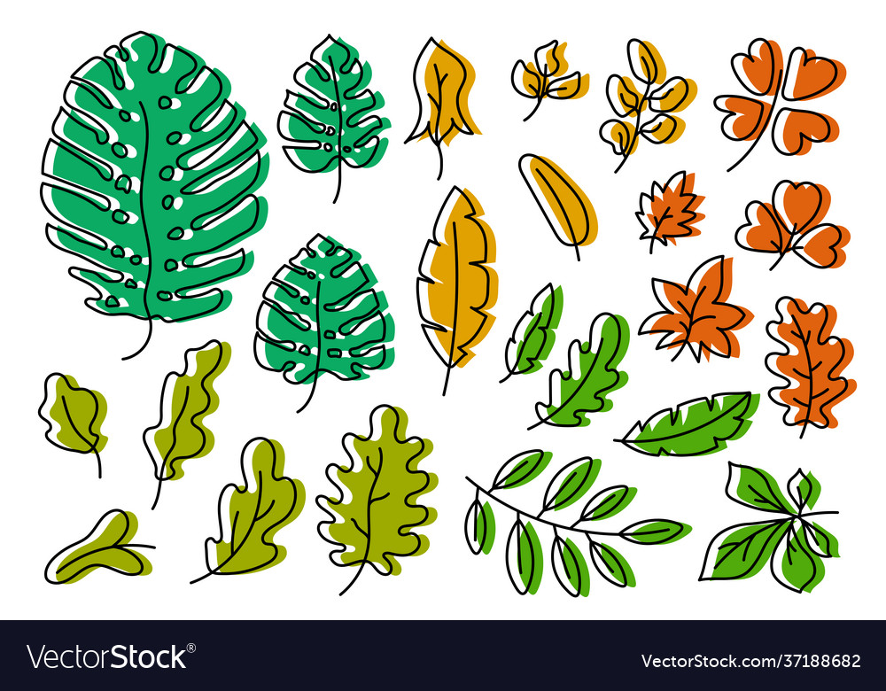 Leaves Set Botanical Doodle Drawing Royalty Free Vector