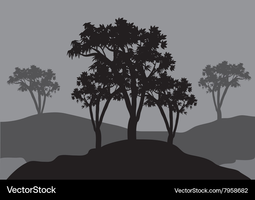 Silhouettes of three tress Royalty Free Vector Image