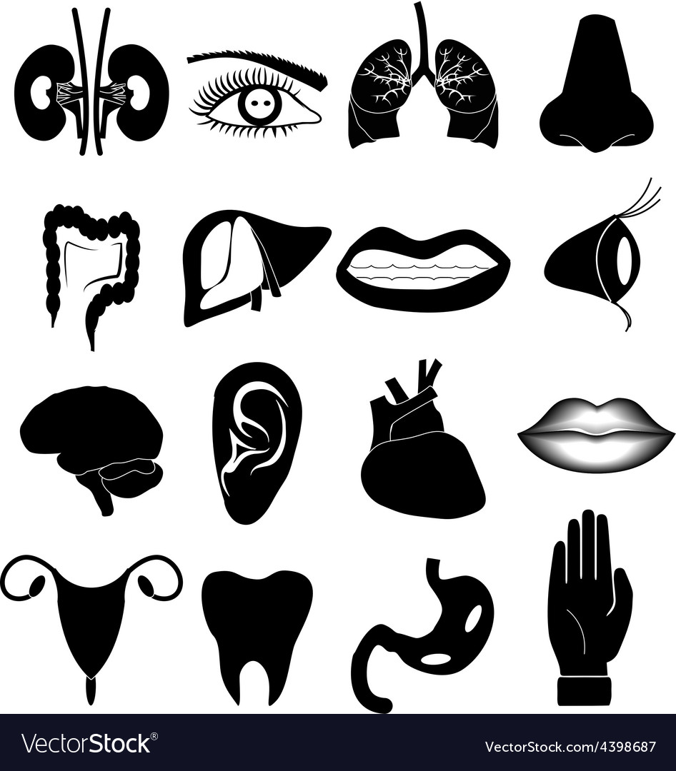 Body Parts Icons Set Royalty Free Vector Image
