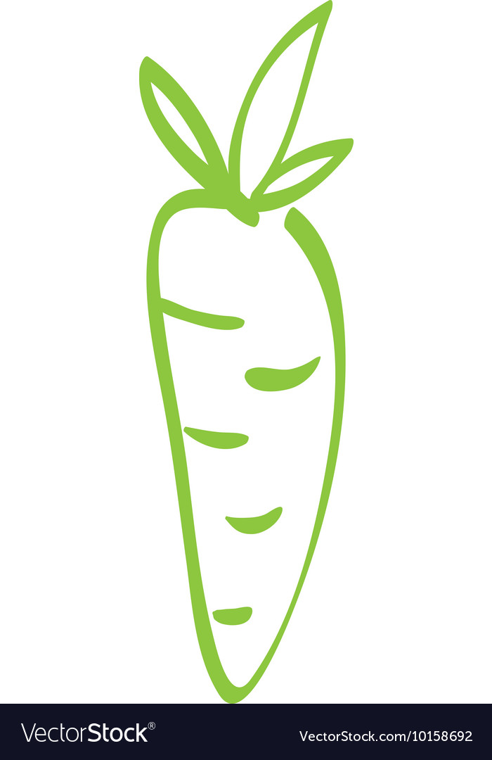 Carrot product healthy food icon graphic Vector Image