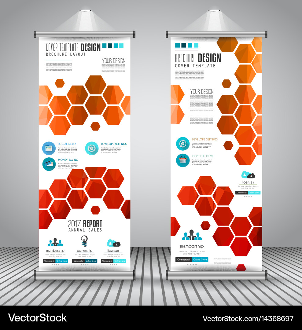 Advertisement roll up business flyer or brochure Vector Image