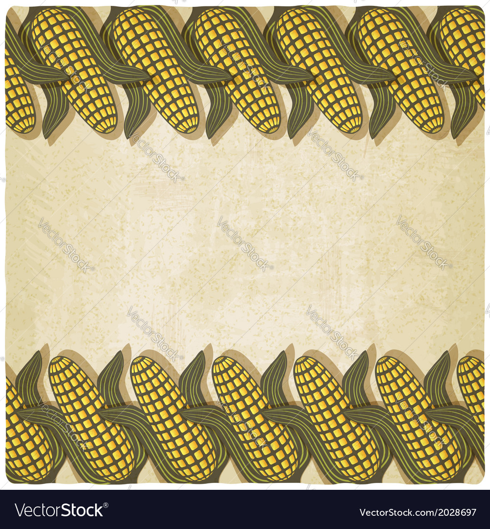 Corn frame old background Royalty Free Vector Image