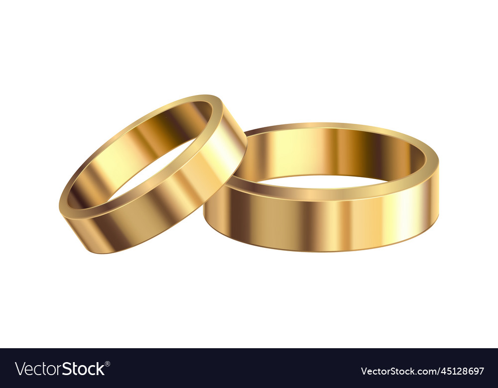 Pair wedding rings composition Royalty Free Vector Image
