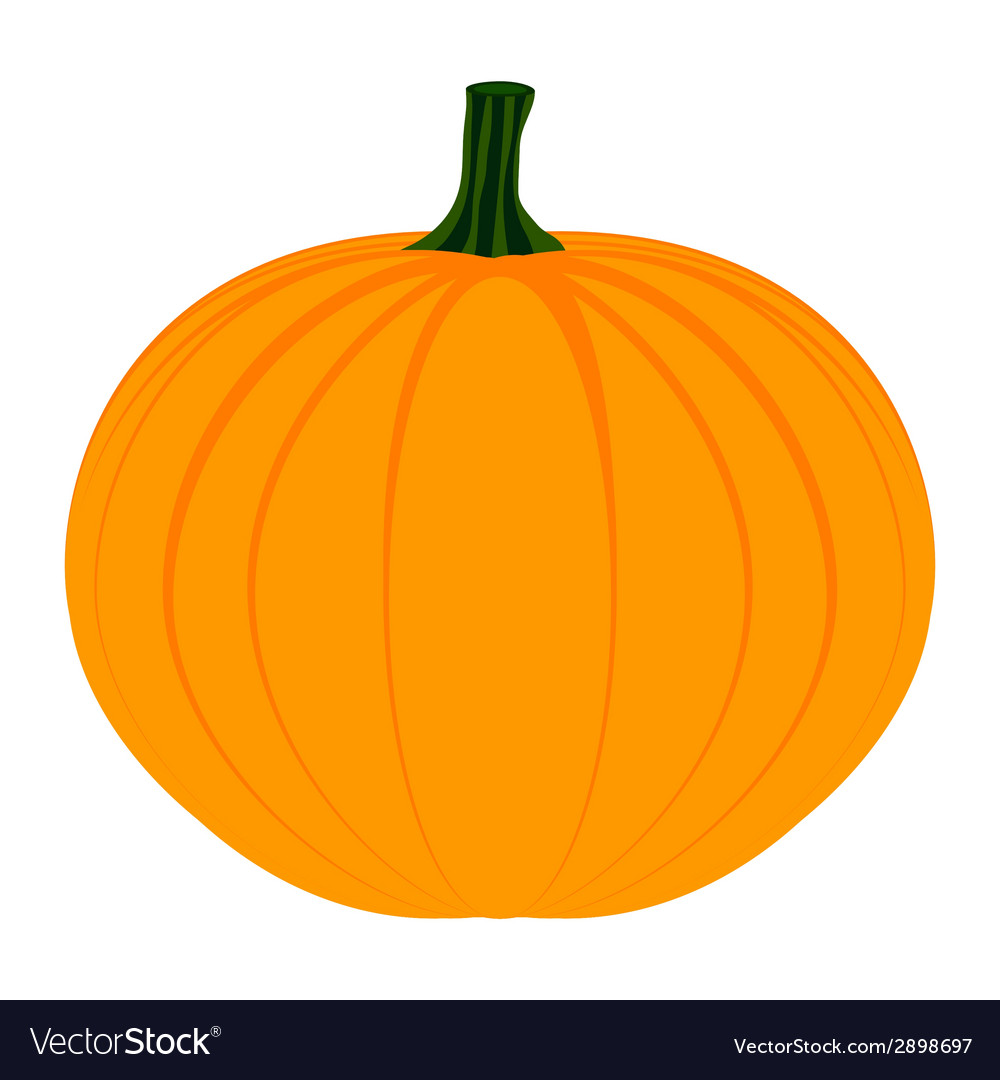 Pumpkin Royalty Free Vector Image - VectorStock