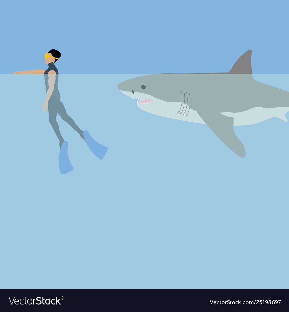 Shark attack Royalty Free Vector Image - VectorStock