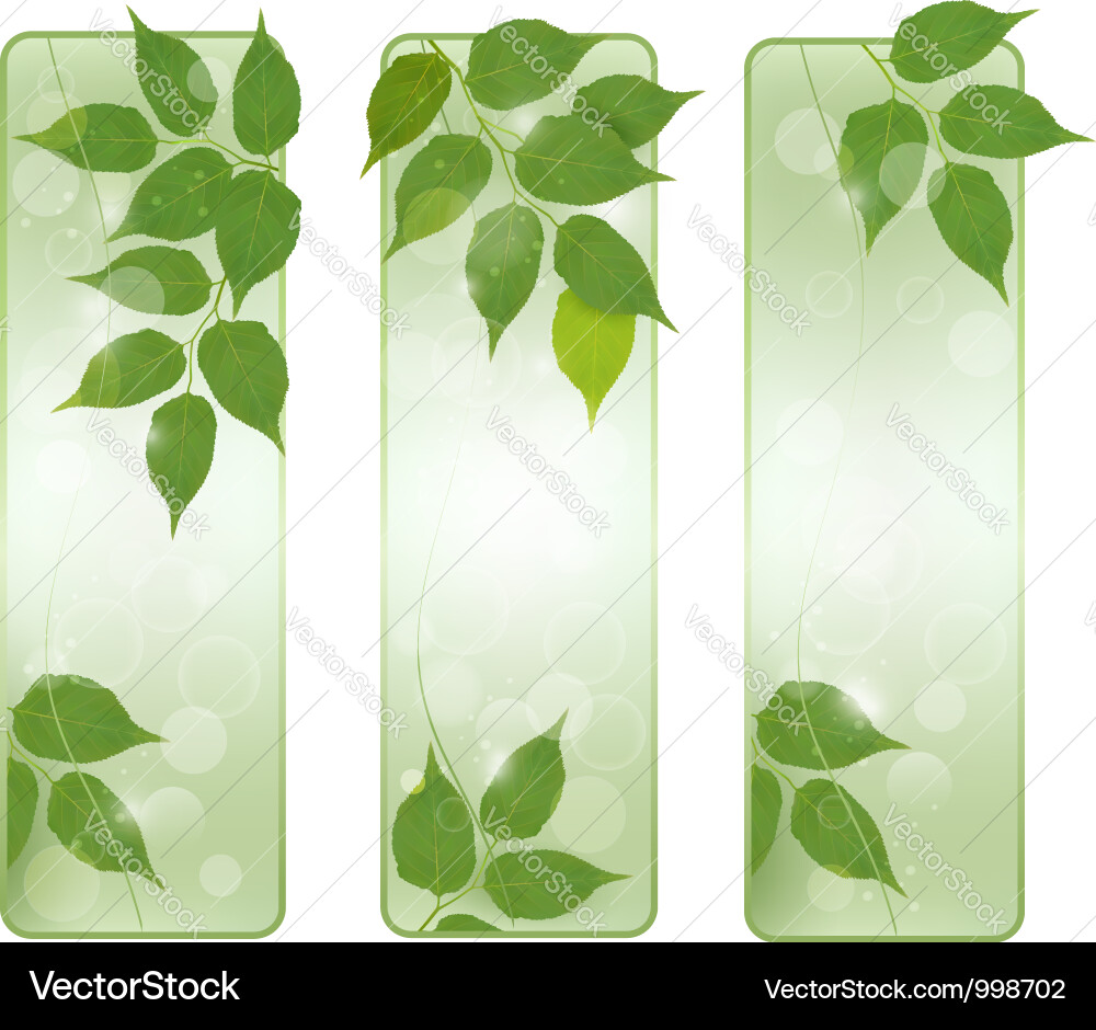 Three nature banners with green fresh leaves Vector Image