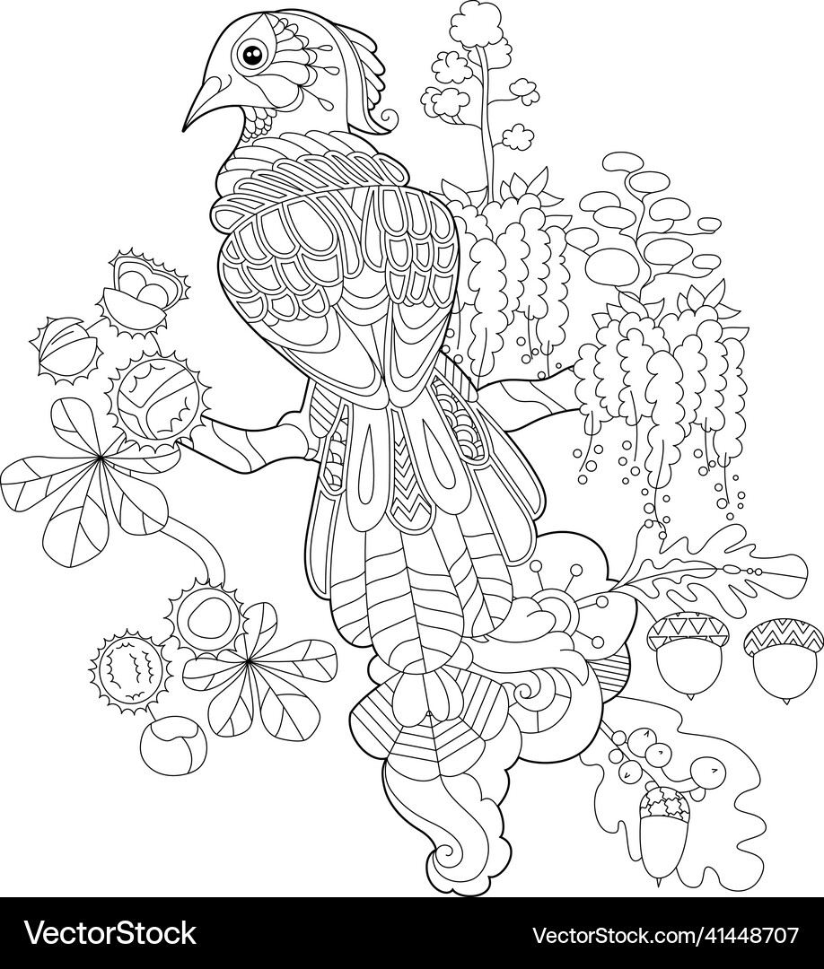 Contour linear for coloring book with paradise Vector Image