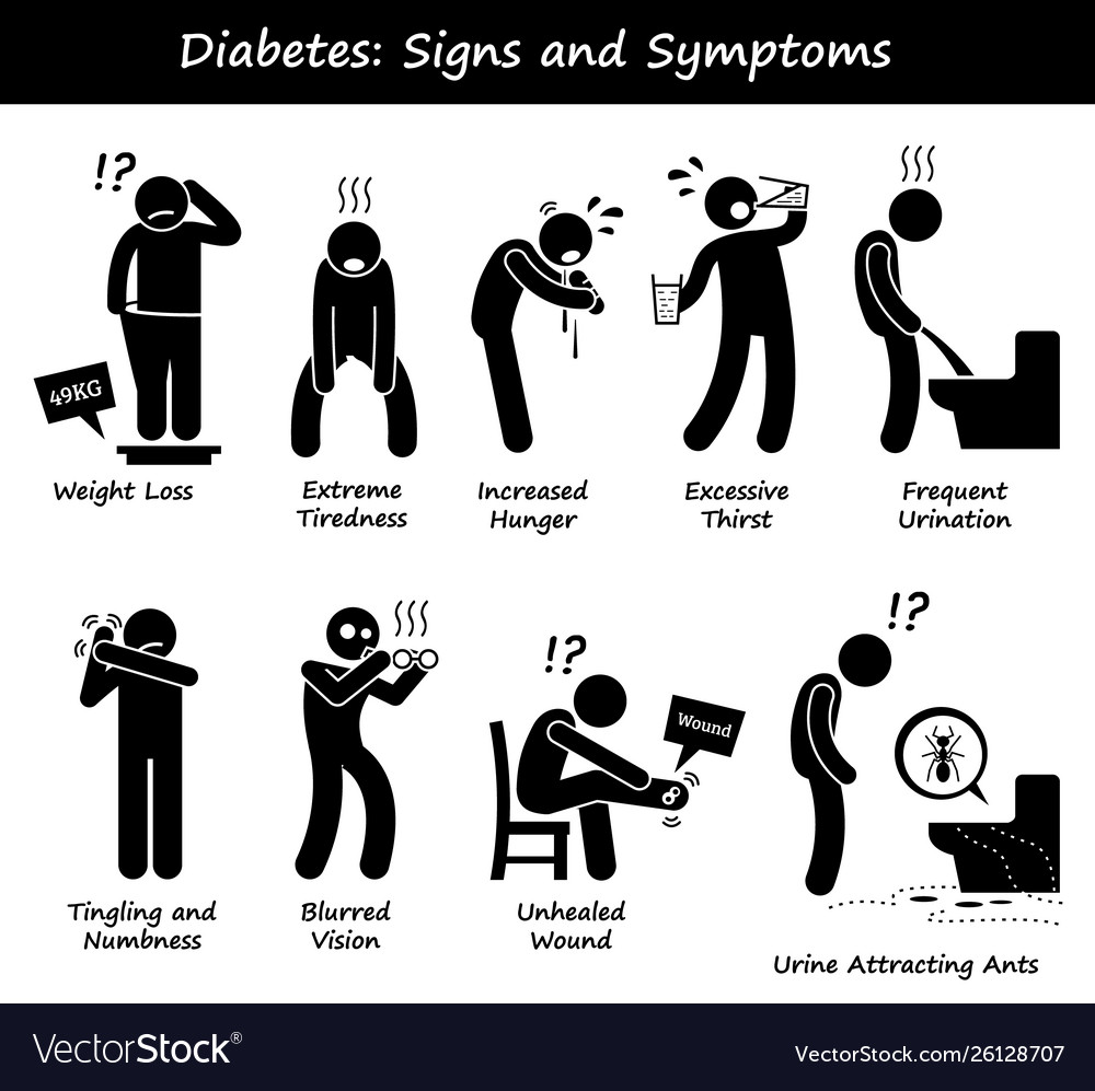 Diabetes Mellitus Diabetic High Blood Sugar Signs Vector Image