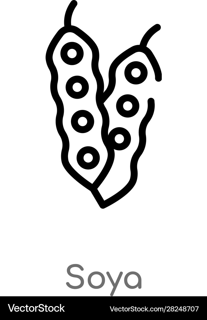 Outline soya icon isolated black simple line Vector Image