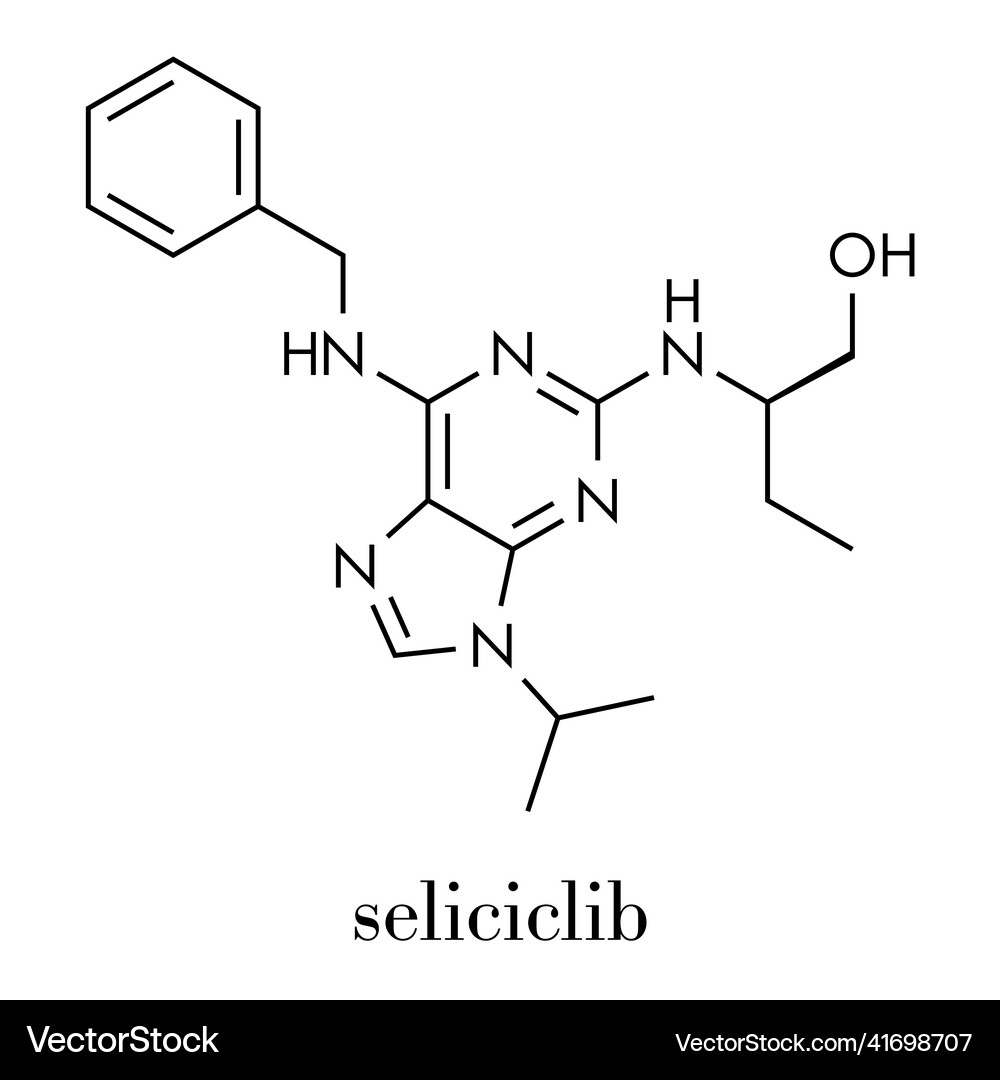 Seliciclib drug molecule cdk inhibitor skeletal Vector Image