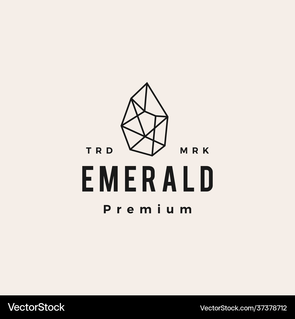 Emerald gem stone hipster vintage logo icon Vector Image