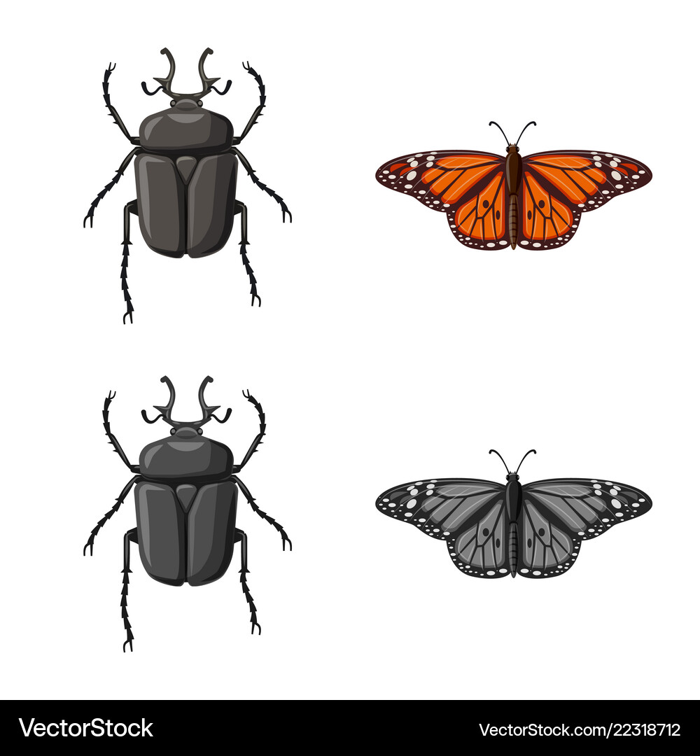 Insect and fly icon Royalty Free Vector Image - VectorStock