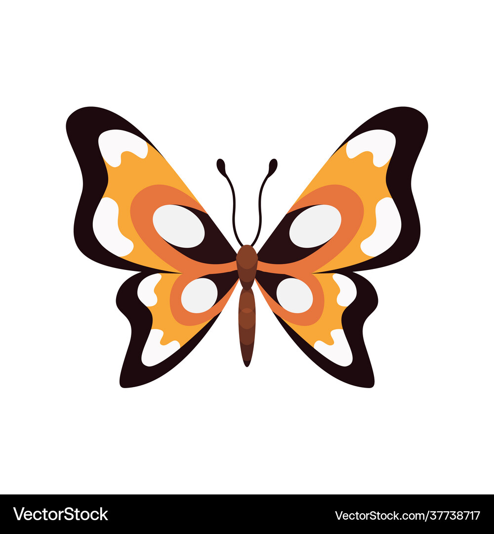 Exotic color butterfly hand drawn moth wings Vector Image