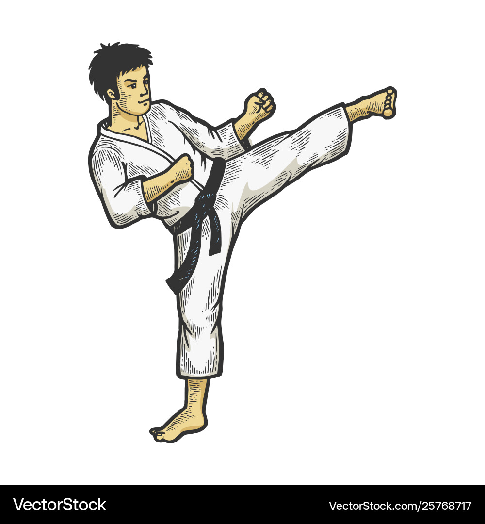 Karate strikes foot up sketch engraving Royalty Free Vector