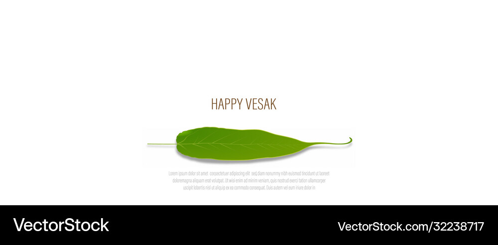 Sacred fig or pipal tree leaf buddha purnima Vector Image