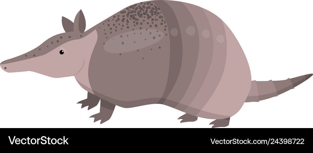 Banded armadillo transparent isolated on white Vector Image