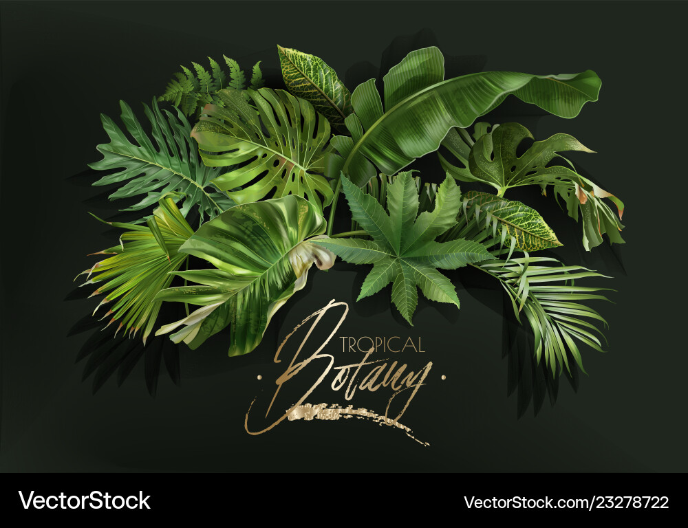 Banner with green tropical leaves Royalty Free Vector Image