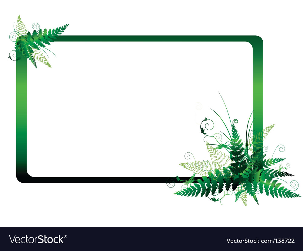 Fern frame Royalty Free Vector Image - VectorStock